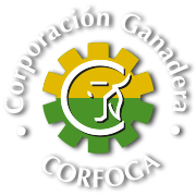 Mano de Piedra Morena - Fans de la Carne de Res - CORFOGA - Corporación ...